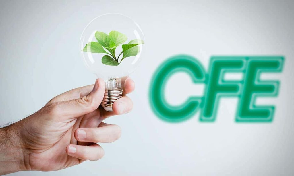 ¿qué Es La Cfe Y Cuáles Son Sus Horarios 🥇